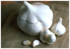 10 Unusual Uses for Garlic – Peak Prosperity