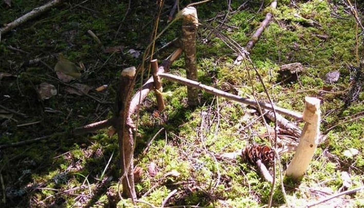 Primitive Traps – Peak Prosperity