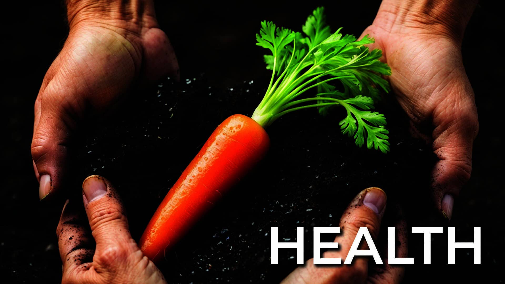 Health – Peak Prosperity