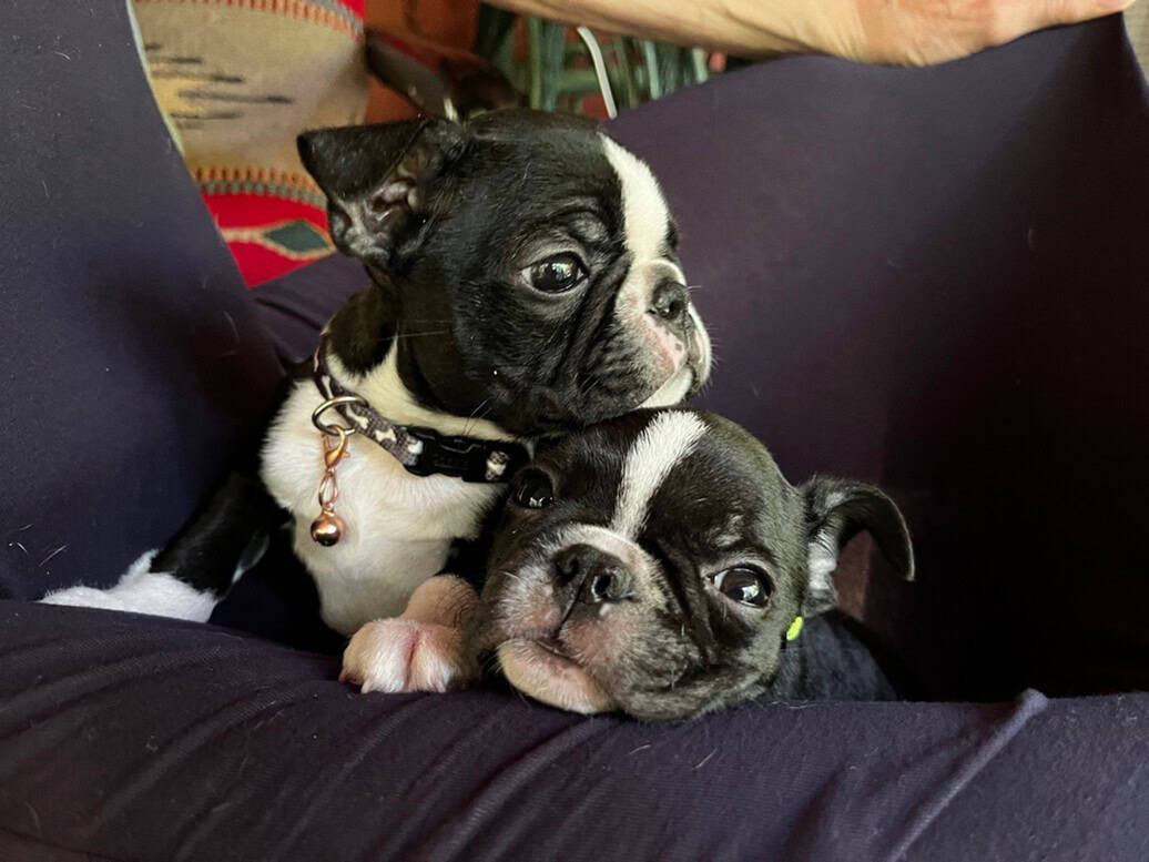 Dave Collum's 2025 Year in Review - Public Archives - Peak Prosperity